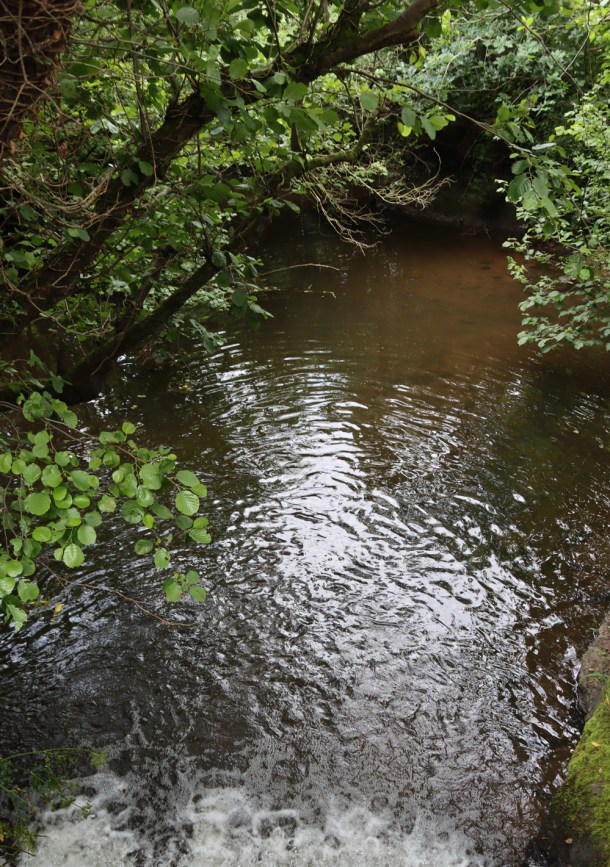 An visit to the working Stretton Water Mill | Based in Churton