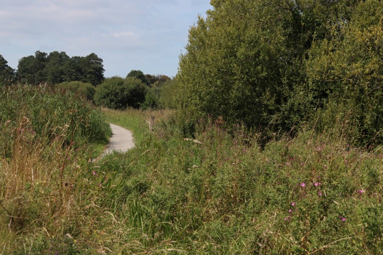 The fabulous nature reserve at the RSPB’s Burton Mere Wetlands | Based ...