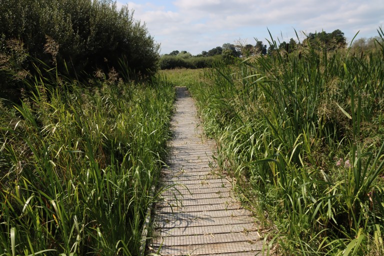 The fabulous nature reserve at the RSPB’s Burton Mere Wetlands | Based ...